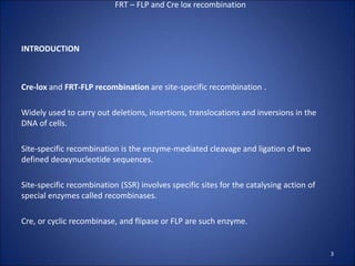 Recombinase cre lox and flp-frt | PPT