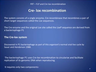 Recombinase cre lox and flp-frt | PPT