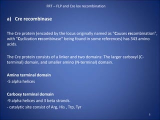 Recombinase cre lox and flp-frt | PPT | Chemistry | Science