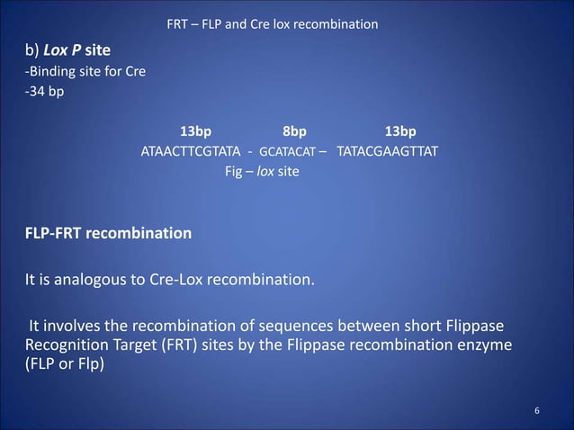 Recombinase Cre Lox And Flp Frt Ppt Chemistry Science