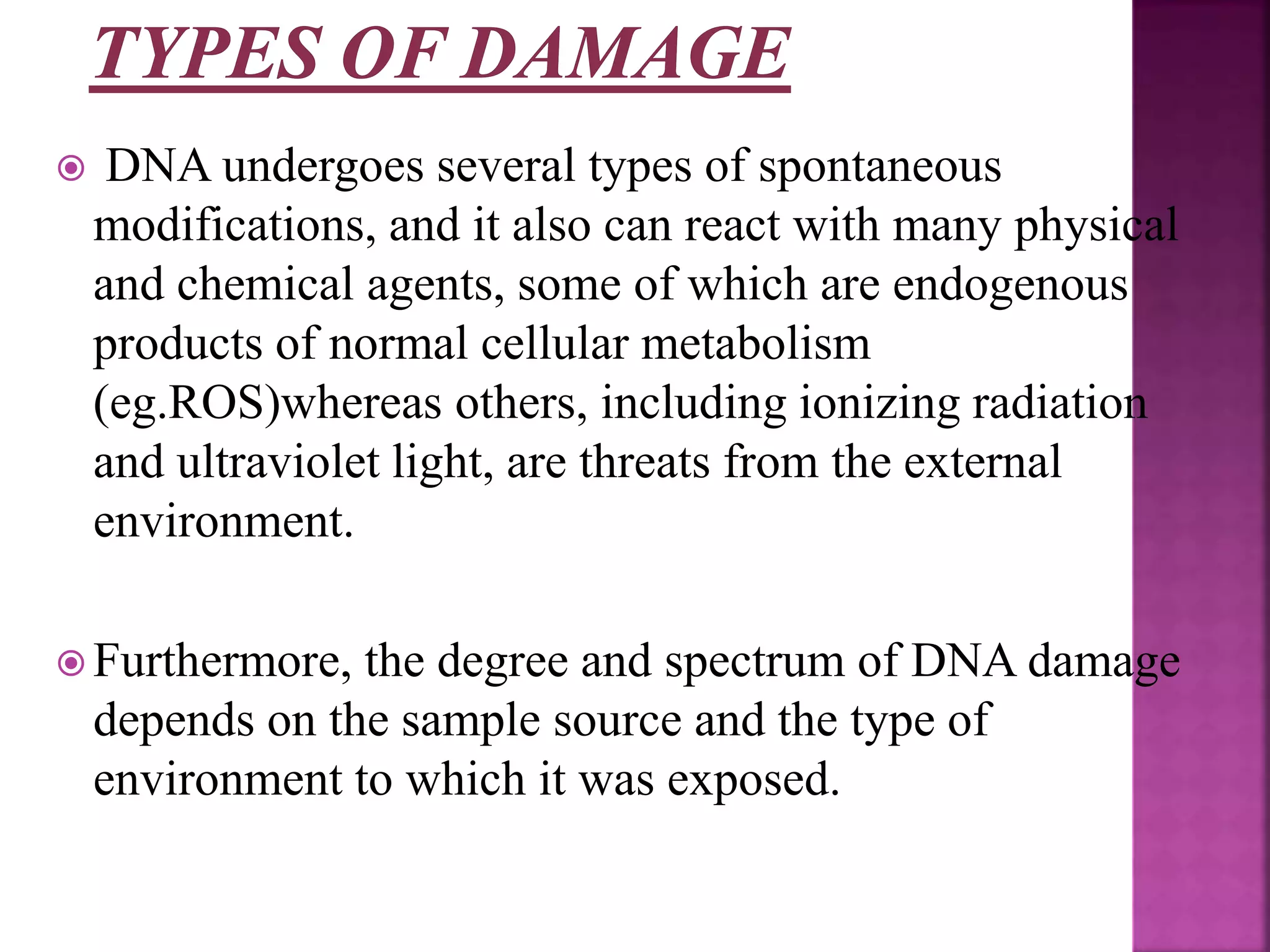 DNA damage, types by kk sahu | PPTX