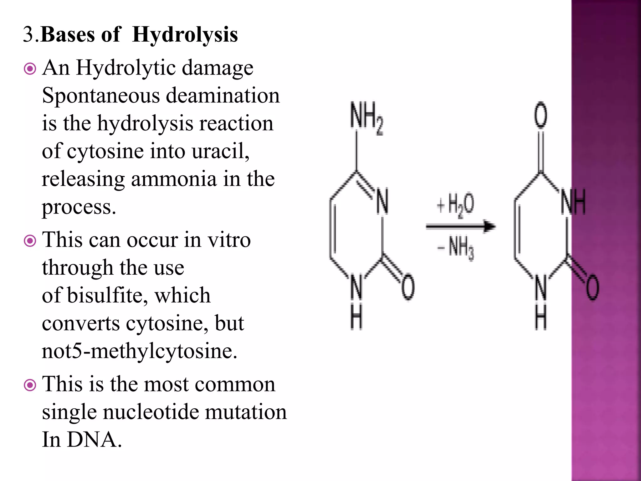 DNA damage, types by kk sahu | PPTX