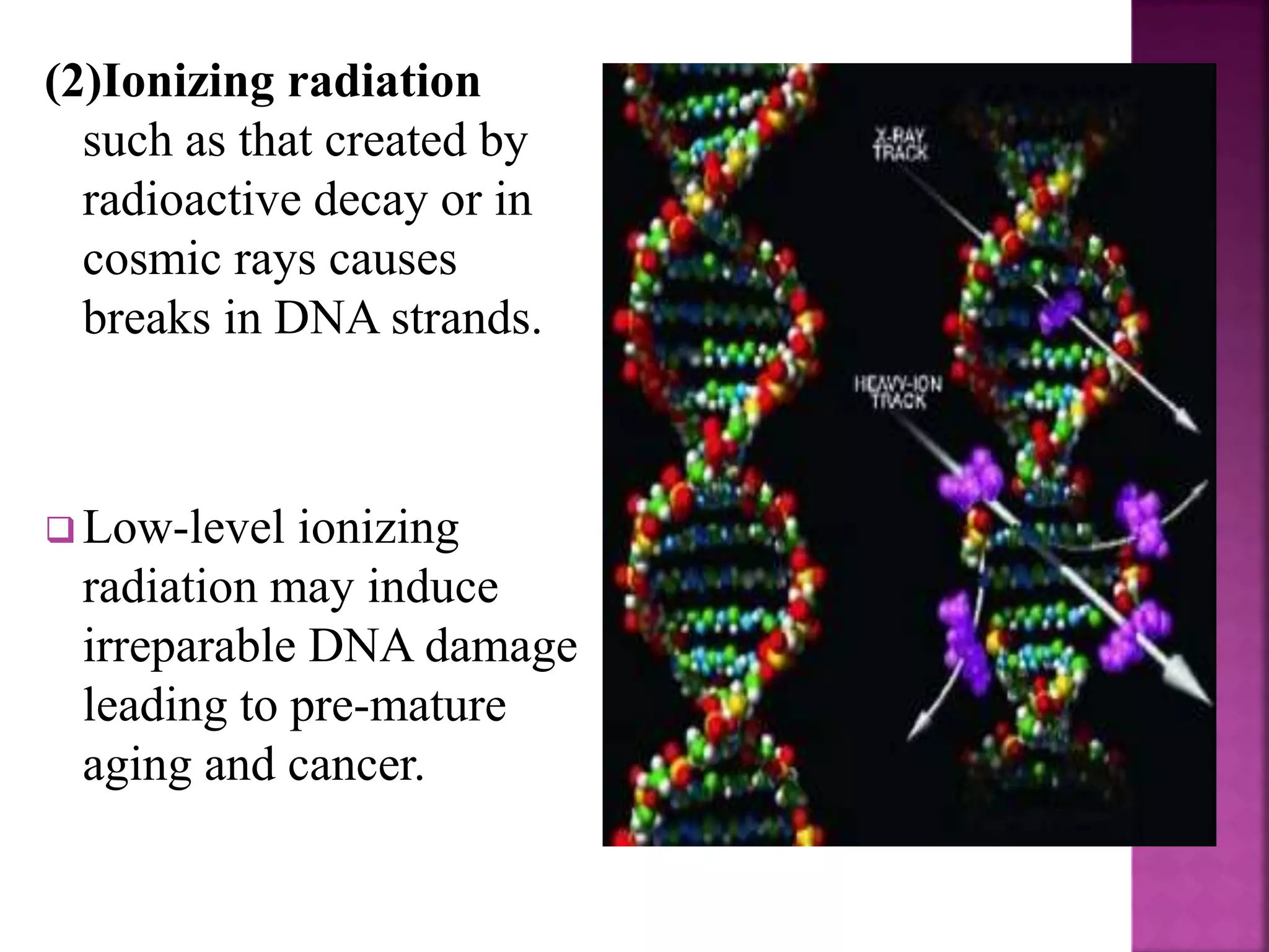 DNA damage, types by kk sahu | PPTX