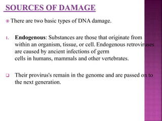 DNA damage, types by kk sahu | PPTX