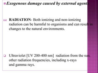 DNA damage, types by kk sahu | PPTX