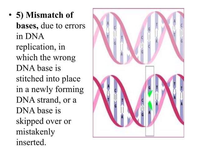 DNA damage, types by kk sahu | PPTX