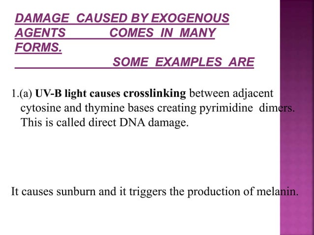 DNA damage, types by kk sahu | PPTX