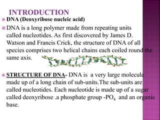 DNA damage, types by kk sahu | PPTX