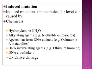 DNA damage, types by kk sahu | PPTX