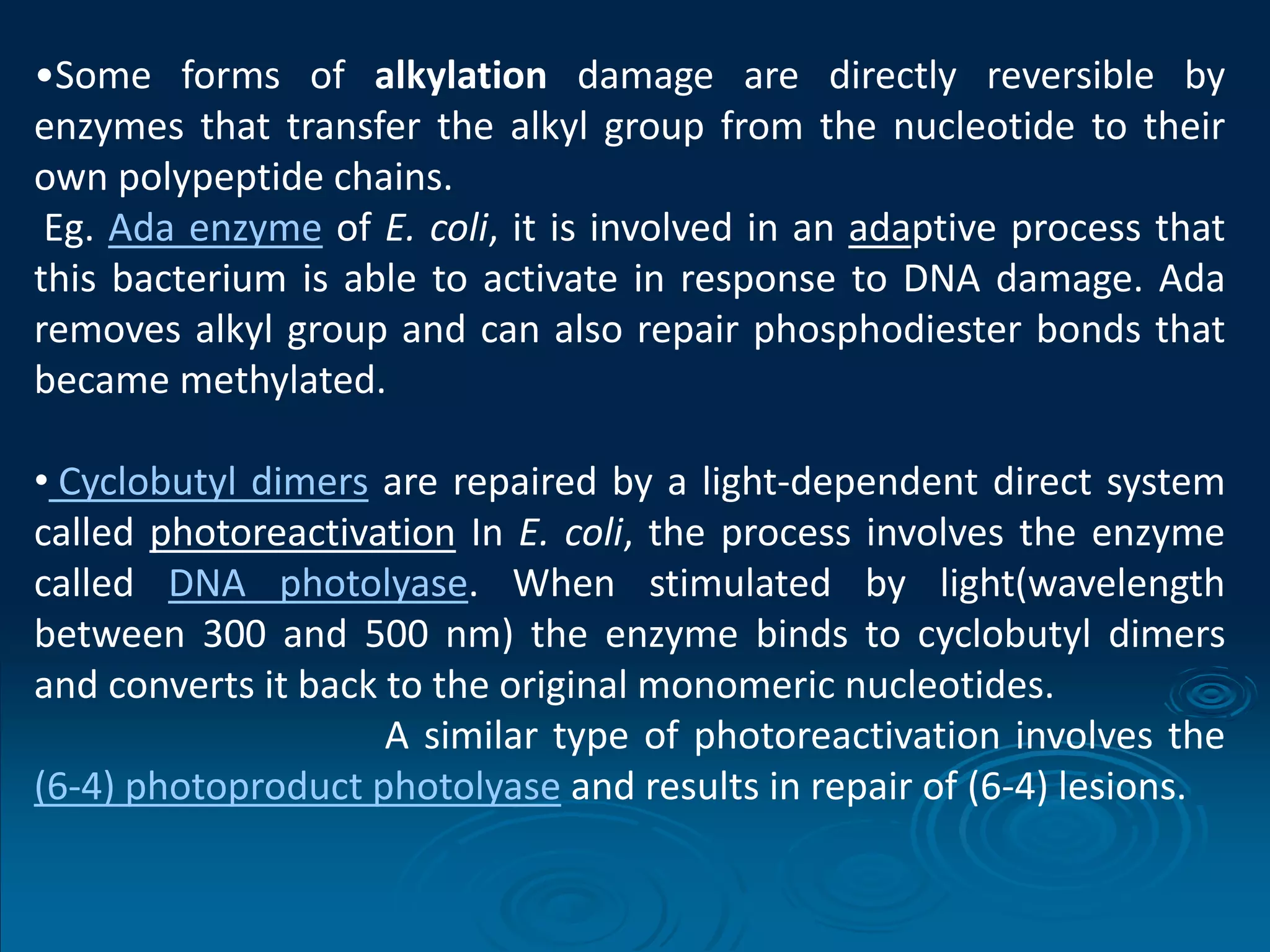 DNA repair and recombination | PPT