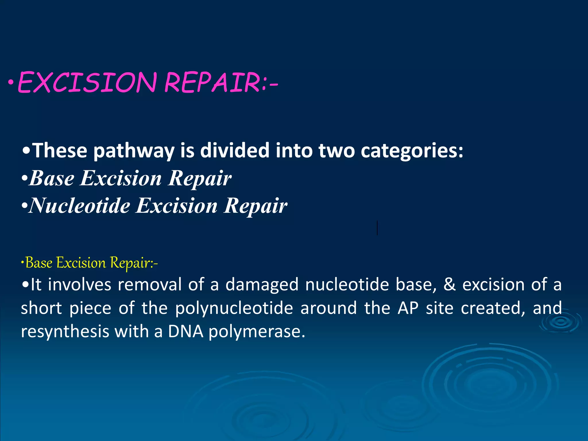 DNA repair and recombination | PPT
