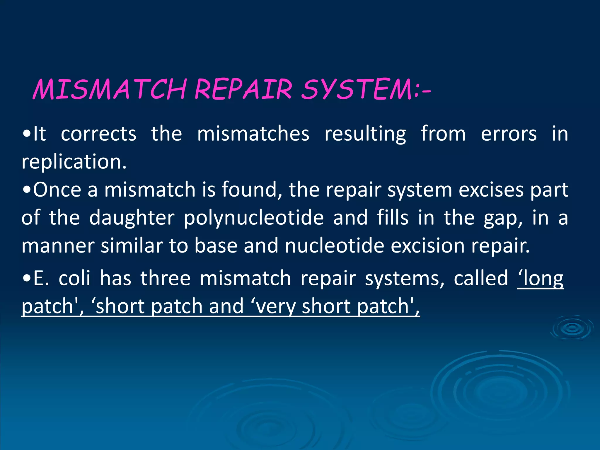 DNA repair and recombination | PPT