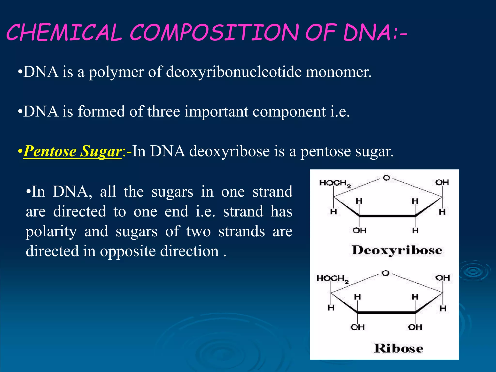DNA repair and recombination | PPT