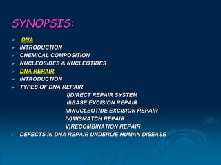 DNA repair and recombination | PPT