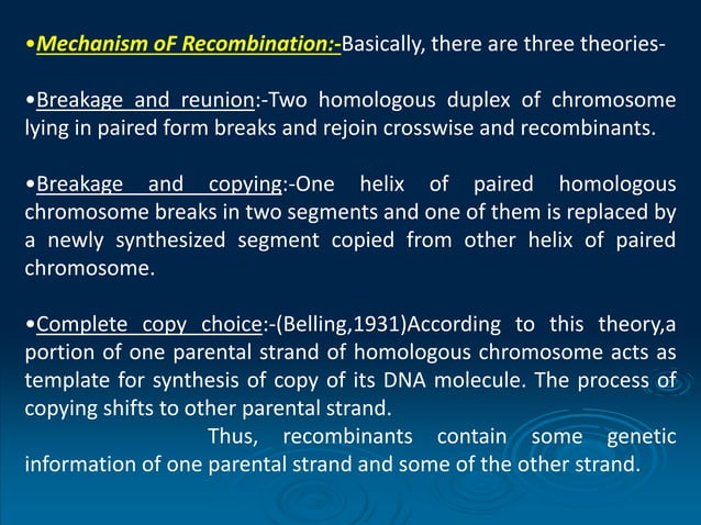 DNA repair and recombination | PPT