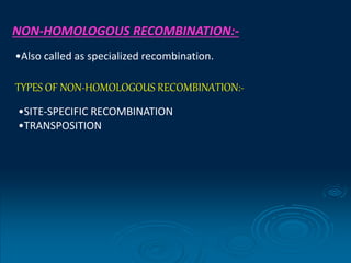 DNA repair and recombination | PPT