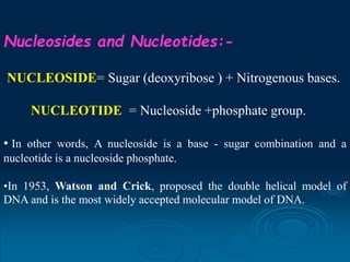 DNA repair and recombination | PPT