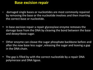 DNA repair by k sahu | PPTX