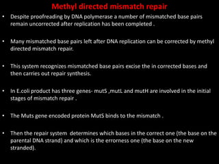 DNA repair by k sahu | PPTX