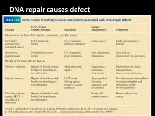 DNA repair by k sahu | PPTX
