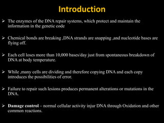 DNA repair by k sahu | PPTX