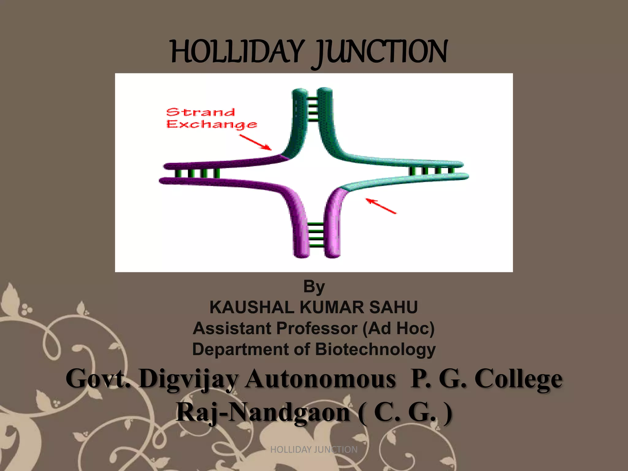Holliday junction Model by kk | PPT