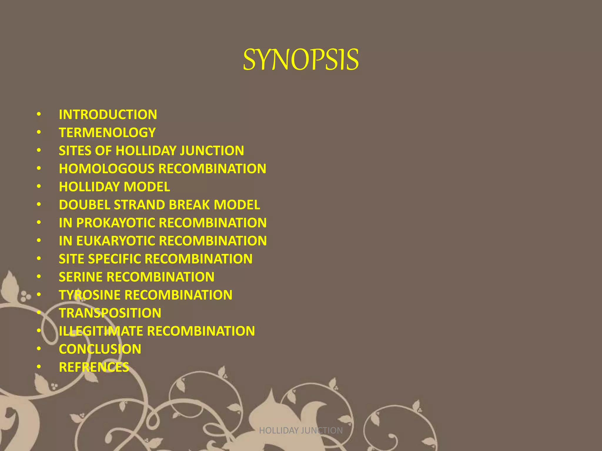 Holliday junction Model by kk | PPT