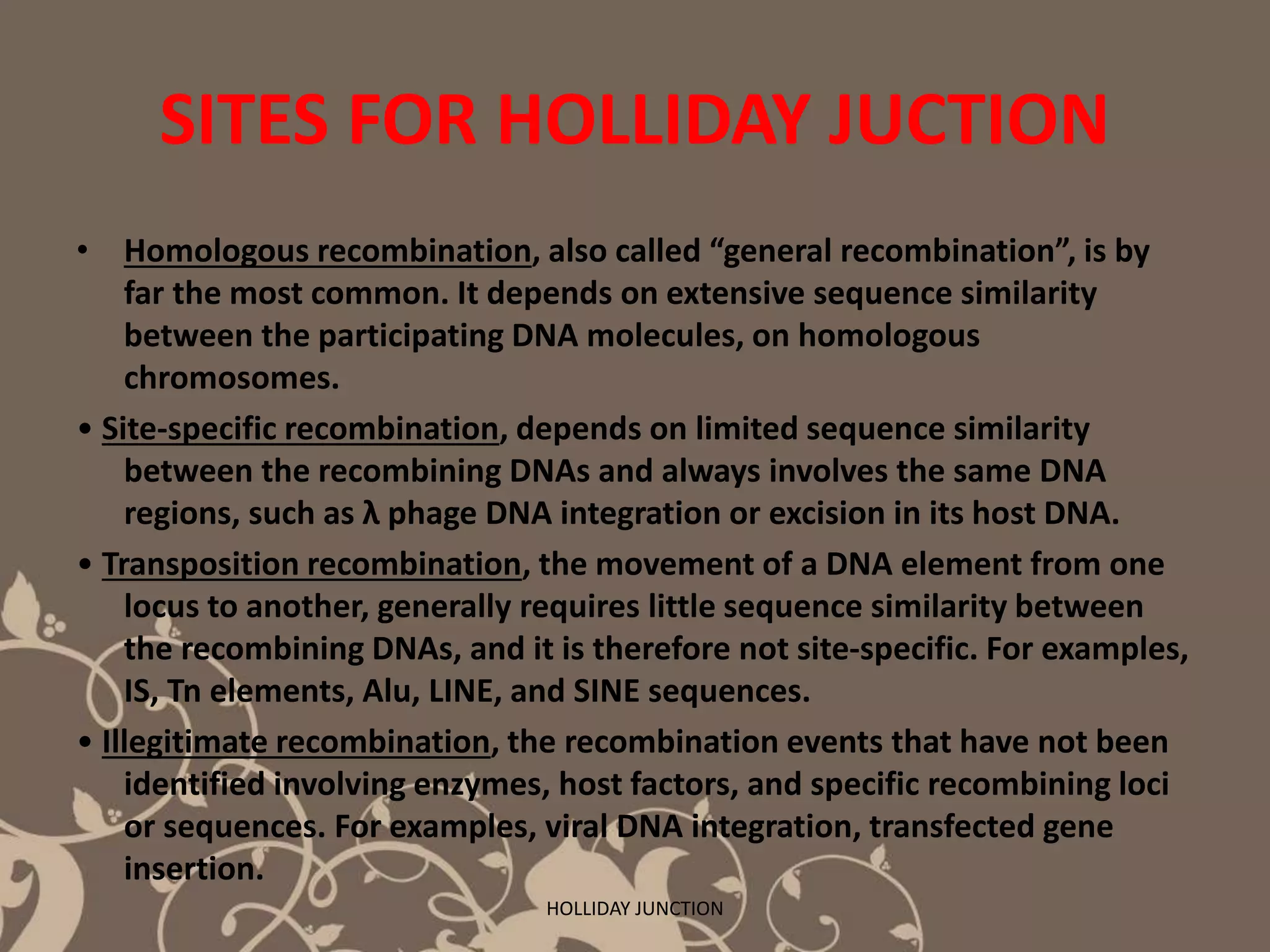 Holliday junction Model by kk | PPT