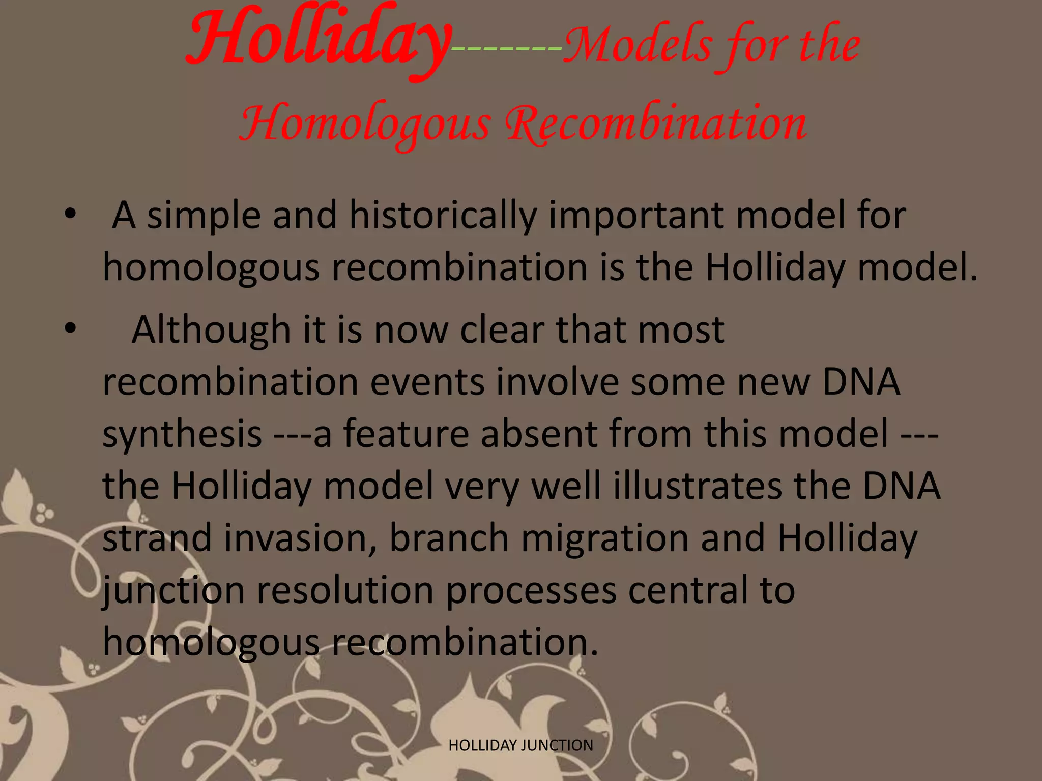 Holliday junction Model by kk | PPT
