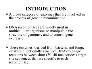 Types of recombinase | PPTX
