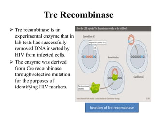 Types of recombinase | PPTX