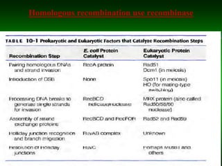 Reconbinase by kk sahu | PPT
