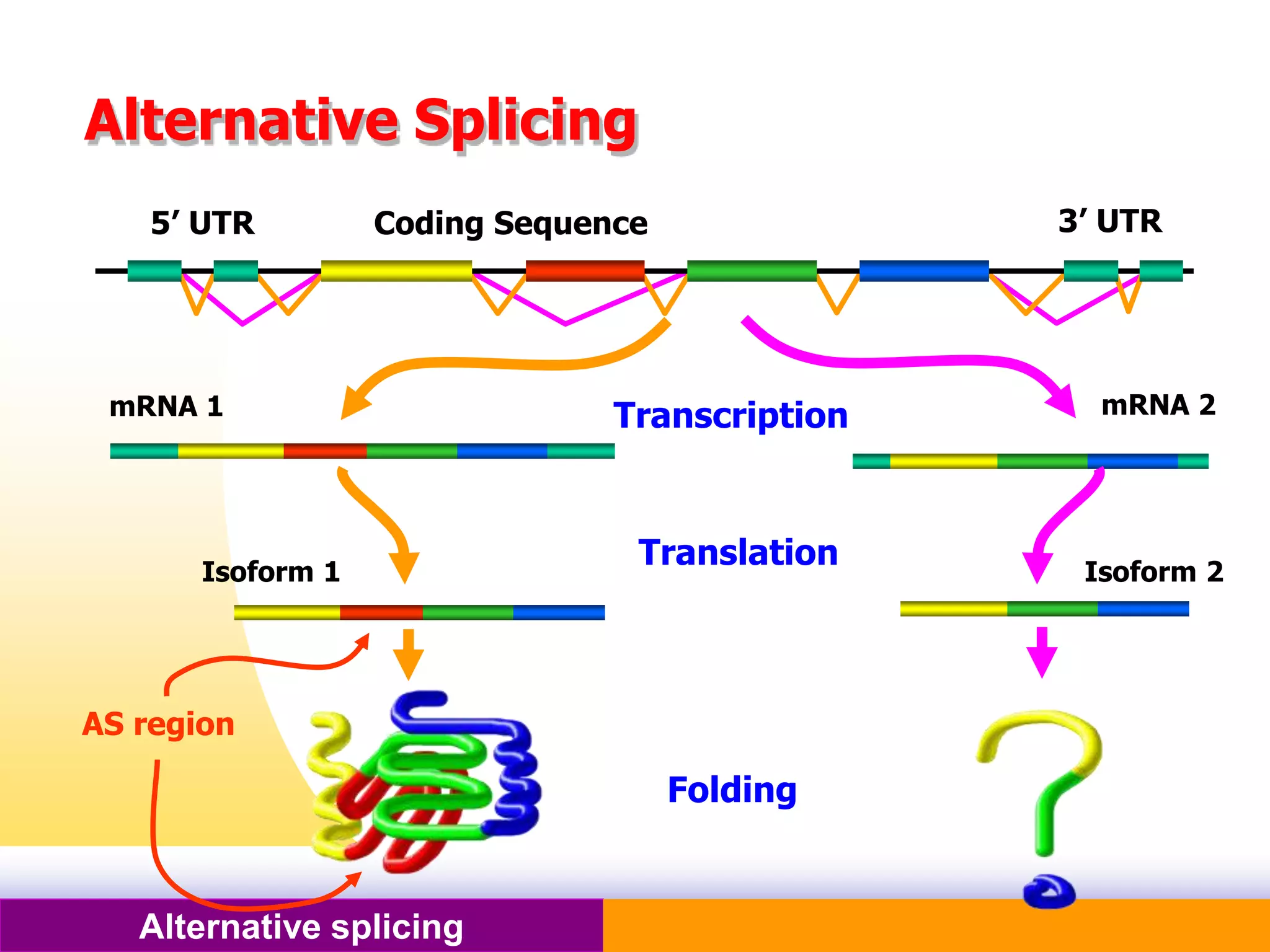 Alternative splicing by kk sahu | PPT