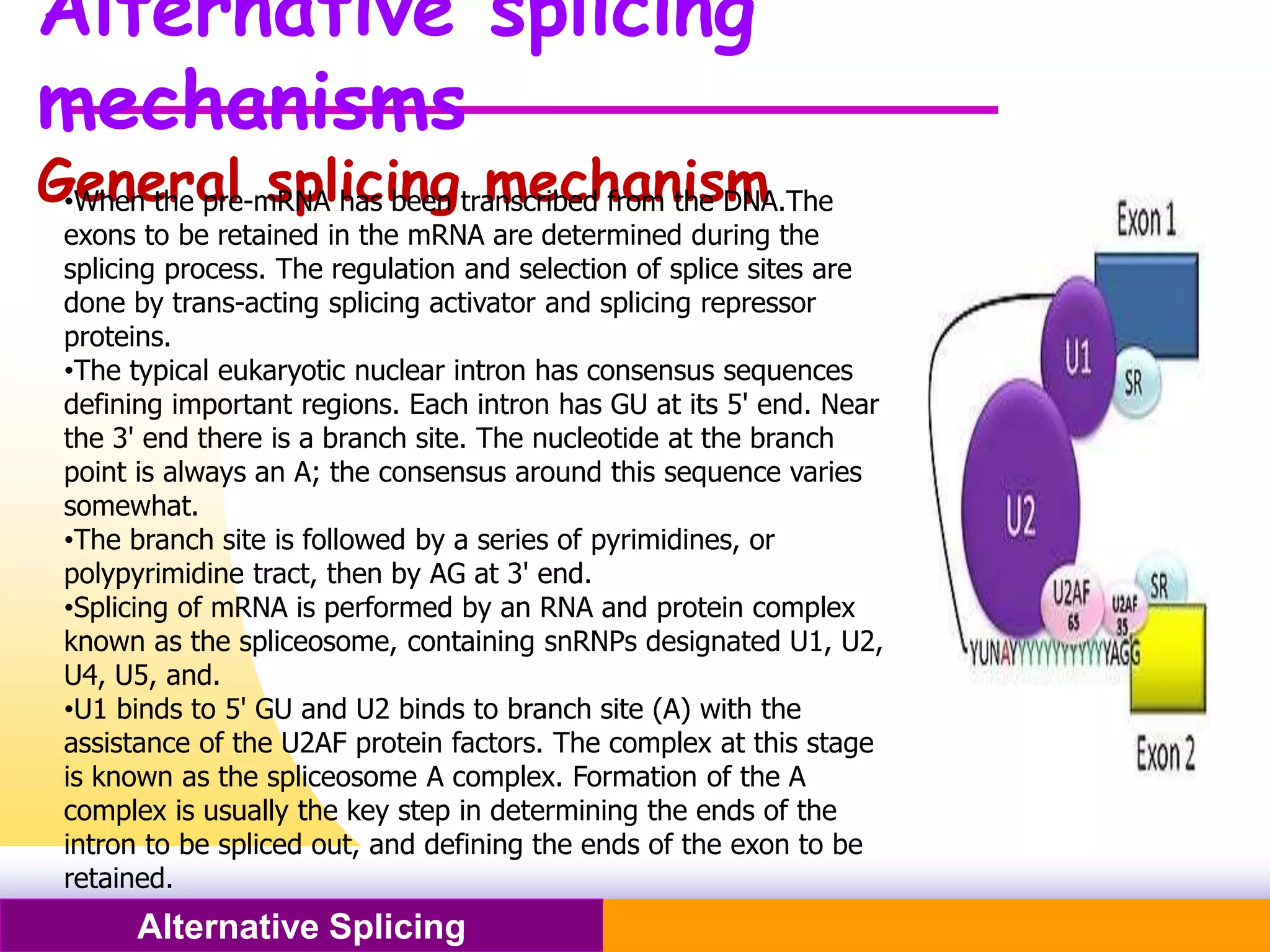 Alternative splicing by kk sahu | PPT