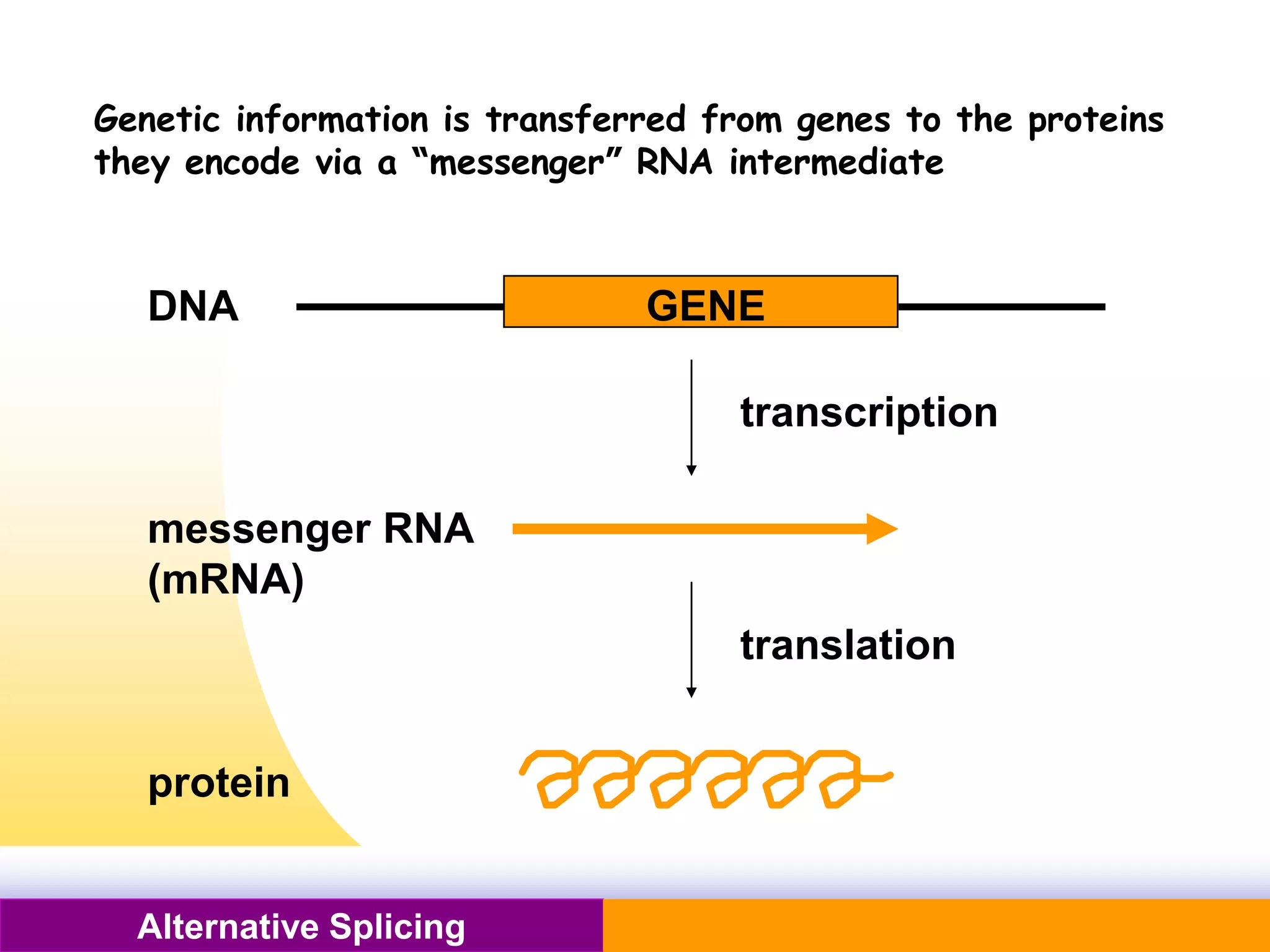 Alternative splicing by kk sahu | PPT
