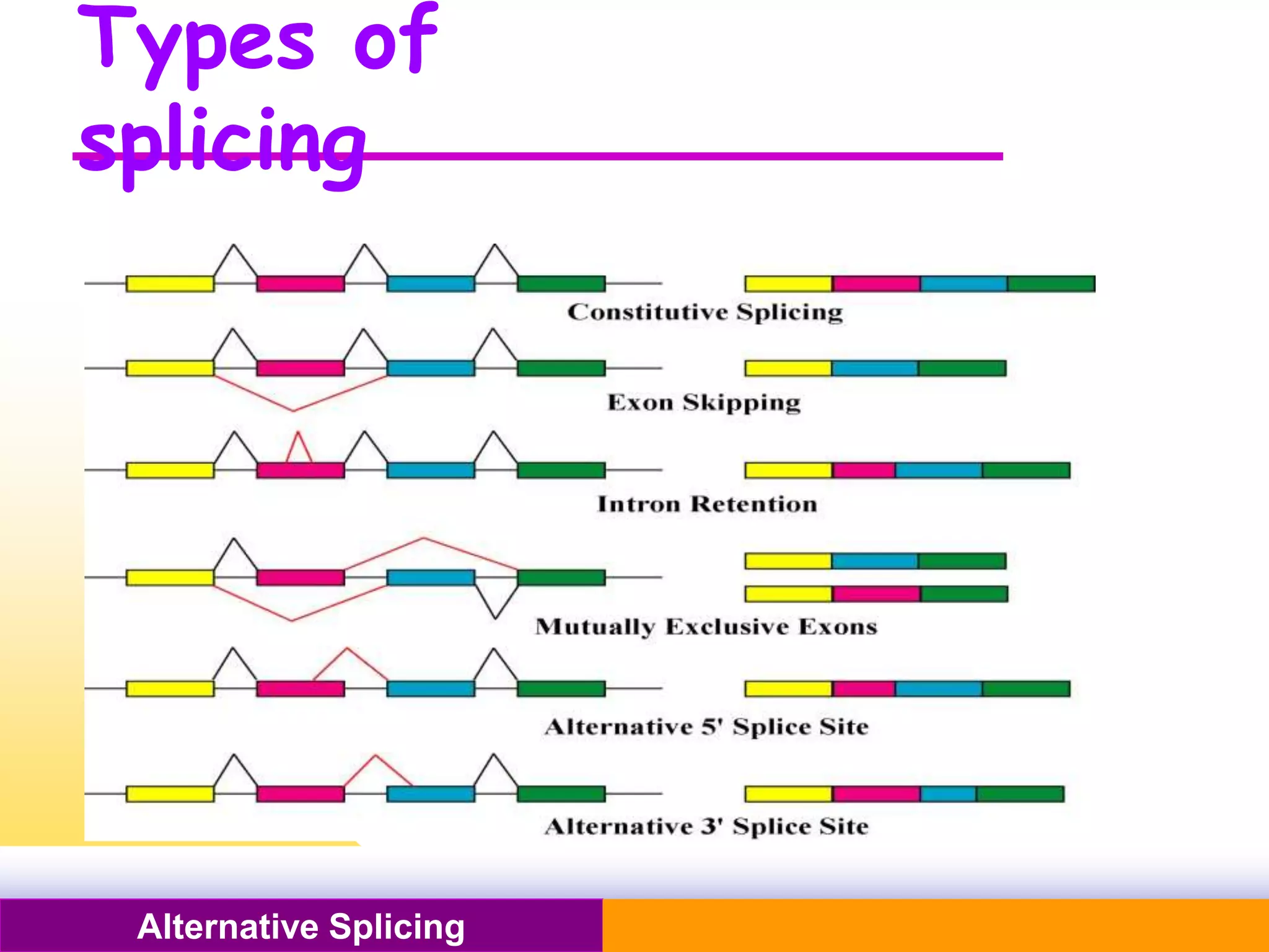 Alternative splicing by kk sahu | PPT