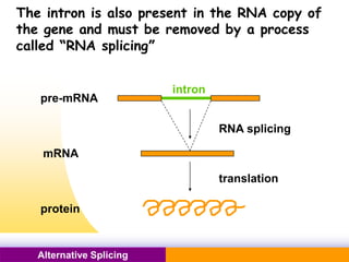 Alternative splicing by kk sahu | PPT