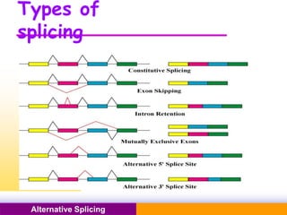 Alternative splicing by kk sahu | PPT