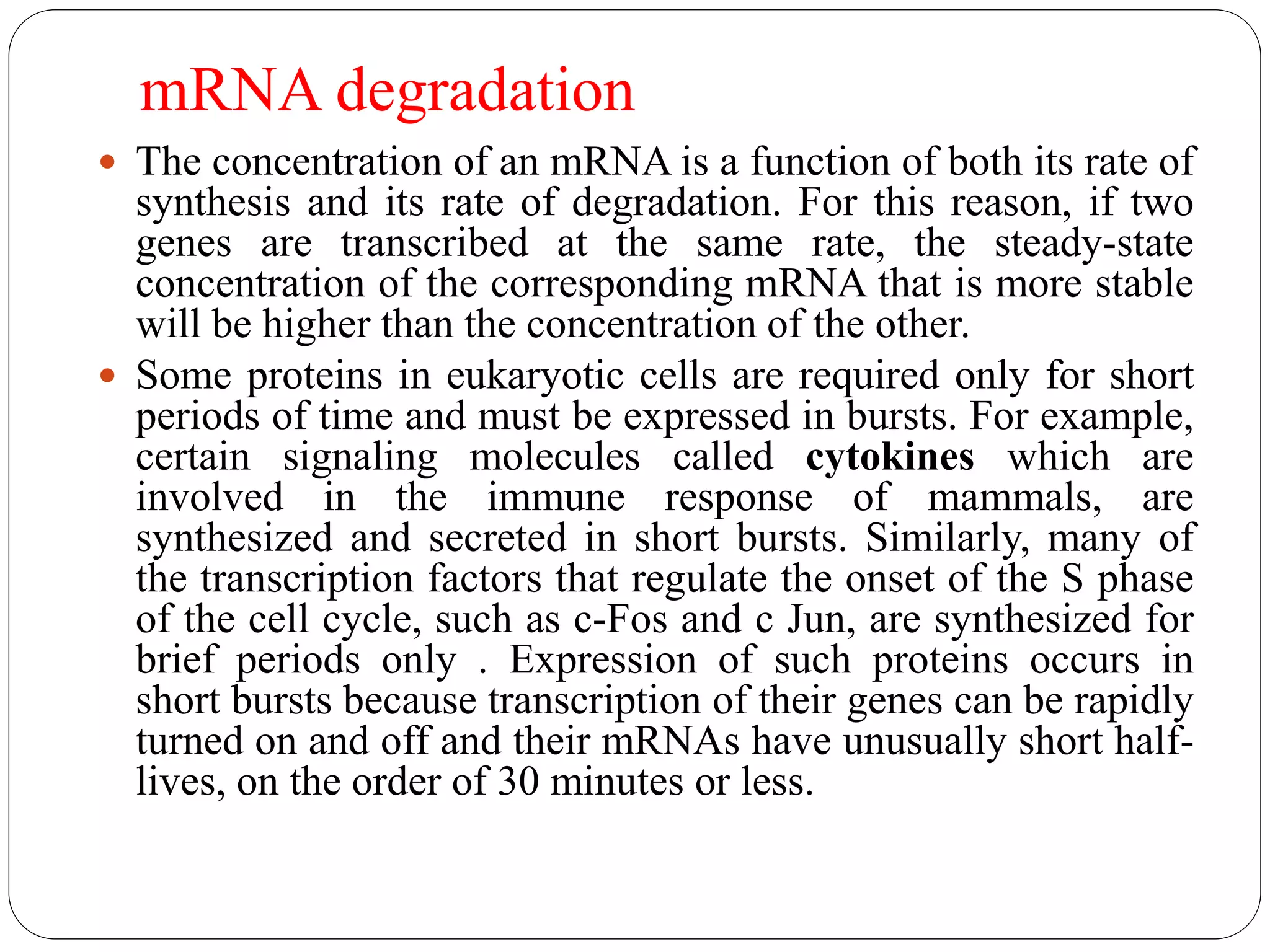 mRNA stability by kk sahu | PPT