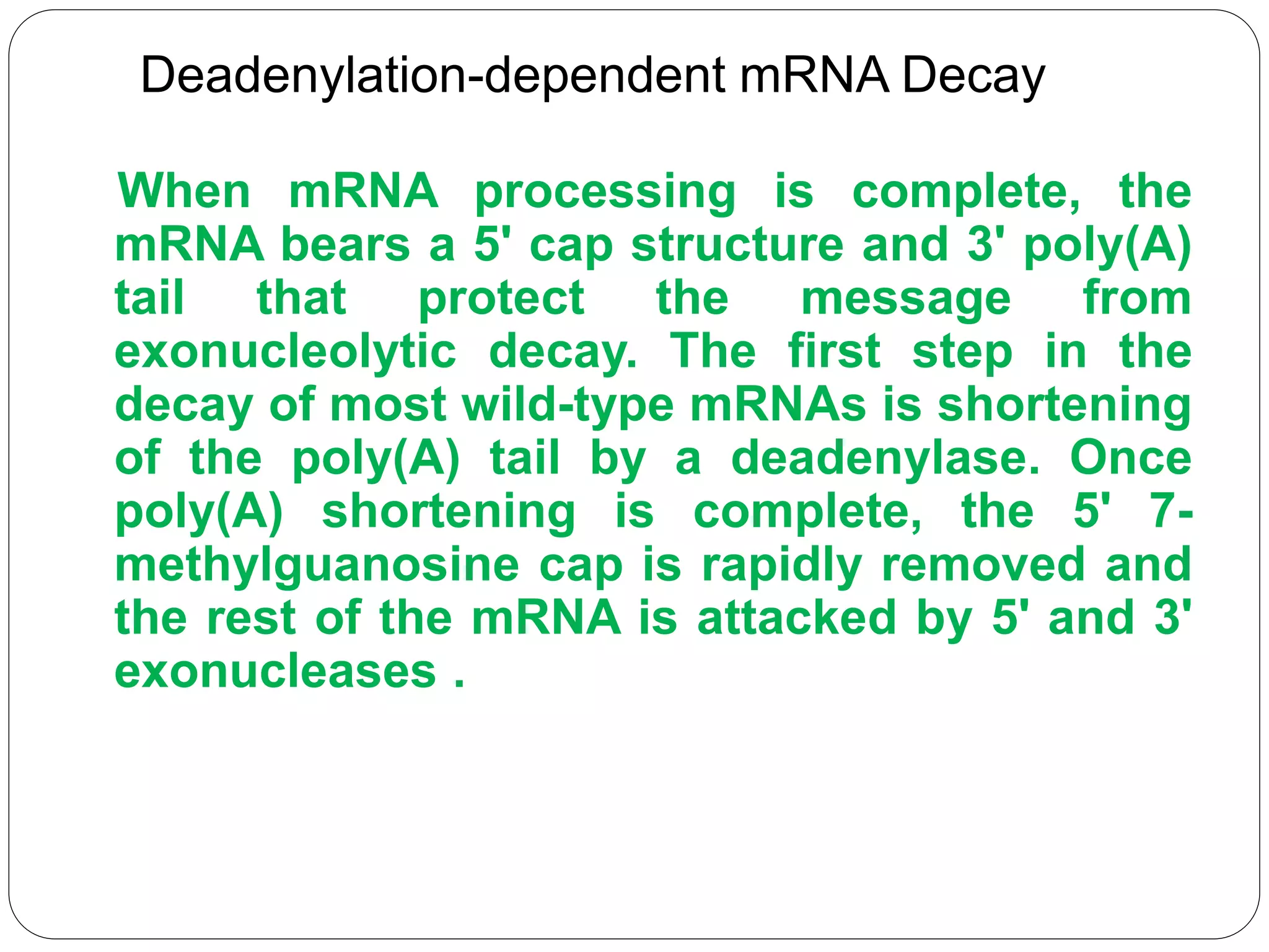 mRNA stability by kk sahu | PPT