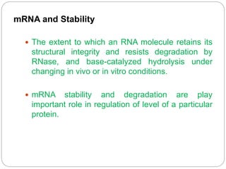 mRNA stability by kk sahu | PPT