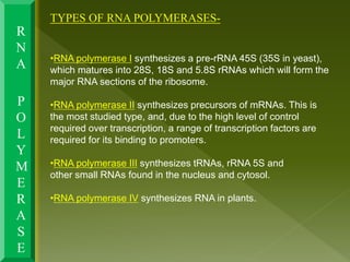 RNA polymerase and transcription factor | PPTX