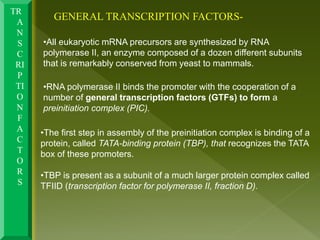 RNA polymerase and transcription factor | PPTX