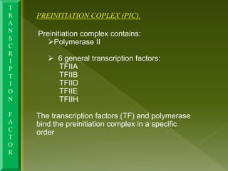 RNA polymerase and transcription factor | PPTX
