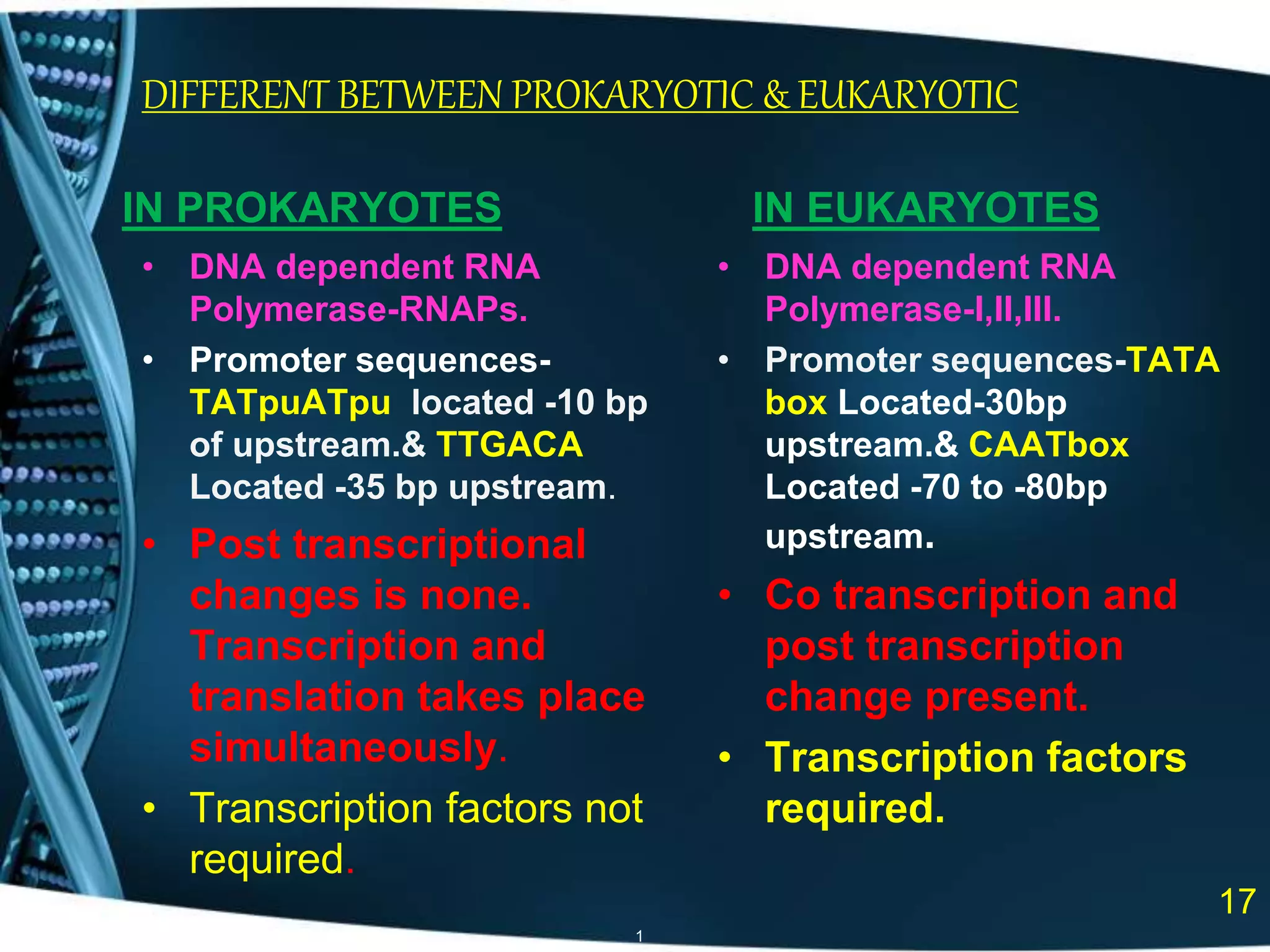 Transcription in eukariotes by kk sahu | PPT
