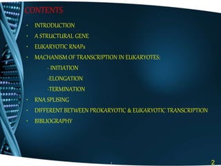 Transcription in eukariotes by kk sahu | PPT