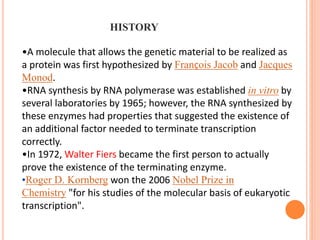 Transcription terrmination by kk sahu | PPT