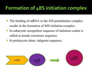 eukaryotic translation machinery by kk sahu | PPTX