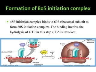 eukaryotic translation machinery by kk sahu | PPTX