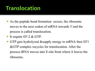 eukaryotic translation machinery by kk sahu | PPTX